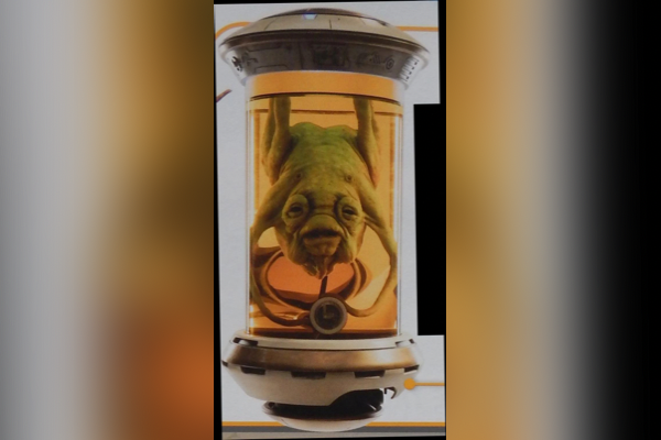 Gallusian – Star Wars Fan Publications